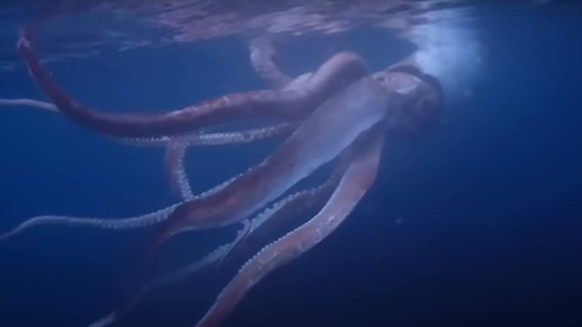 A mystery of evolution: Why do deep sea creatures evolve into giants? :: GPJP Times
